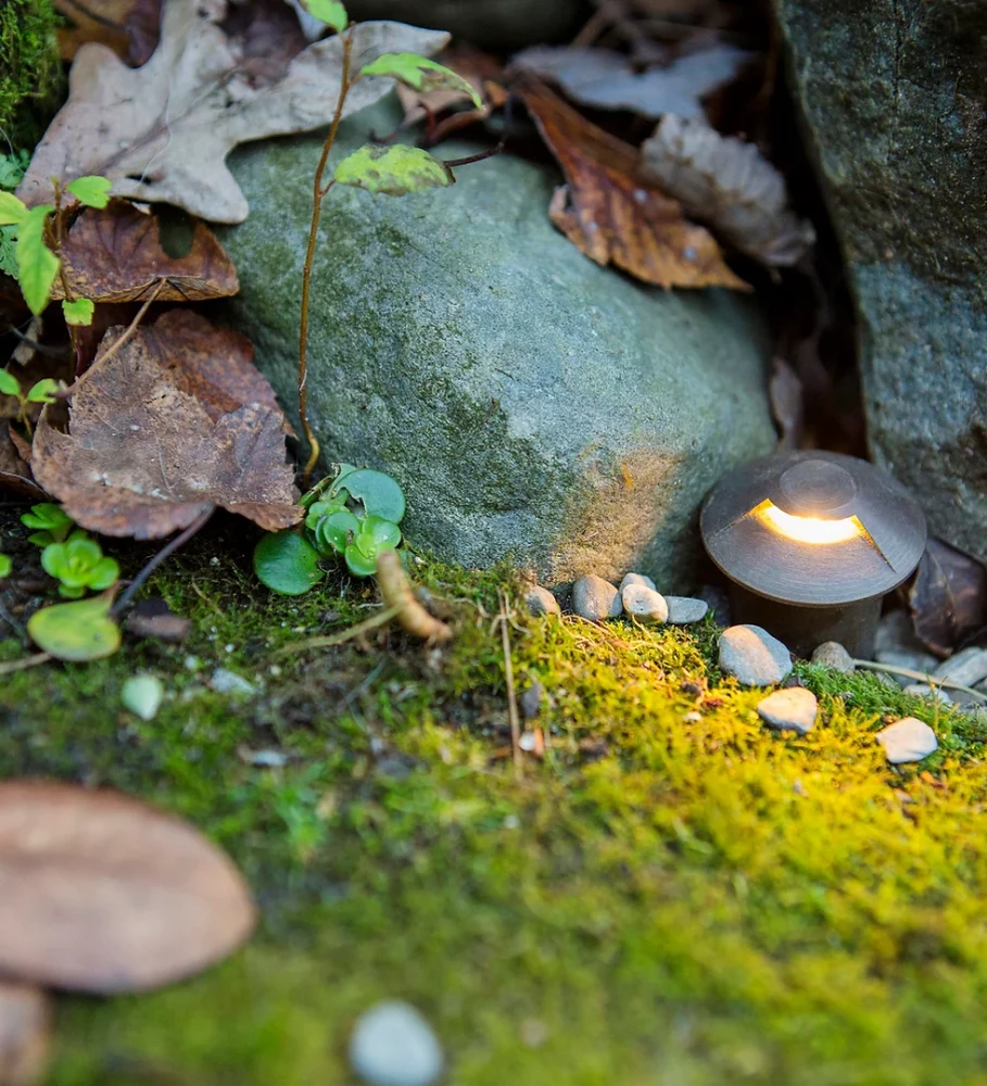 What Is “Smart Lighting” and How Can You Add It to Your Landscape?