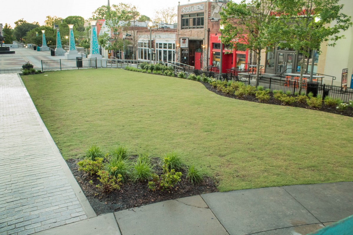 Common Turf Issues And How To Treat Them common-turf-issues-and-how-to-treat-them