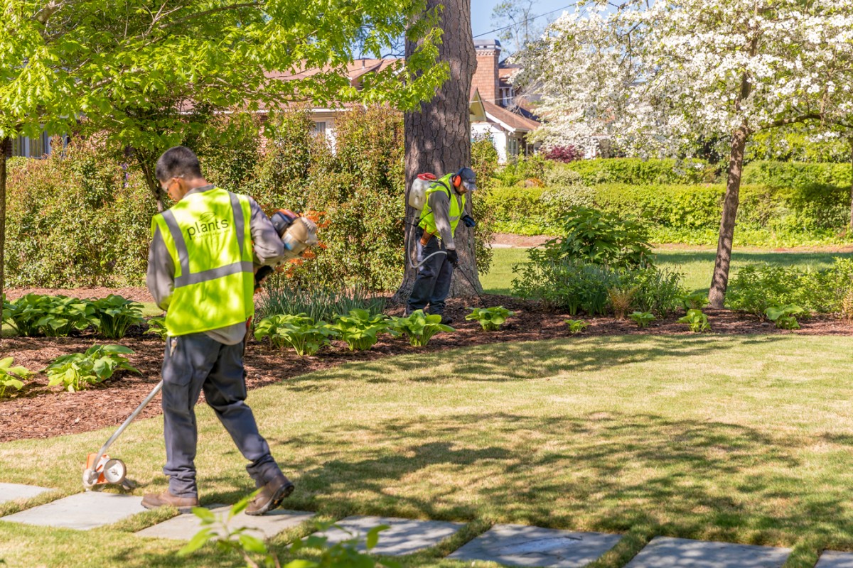 Your Landscape Maintenance Calendar: Fall & Winter Edition