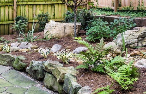 Enhancing Existing Landscapes